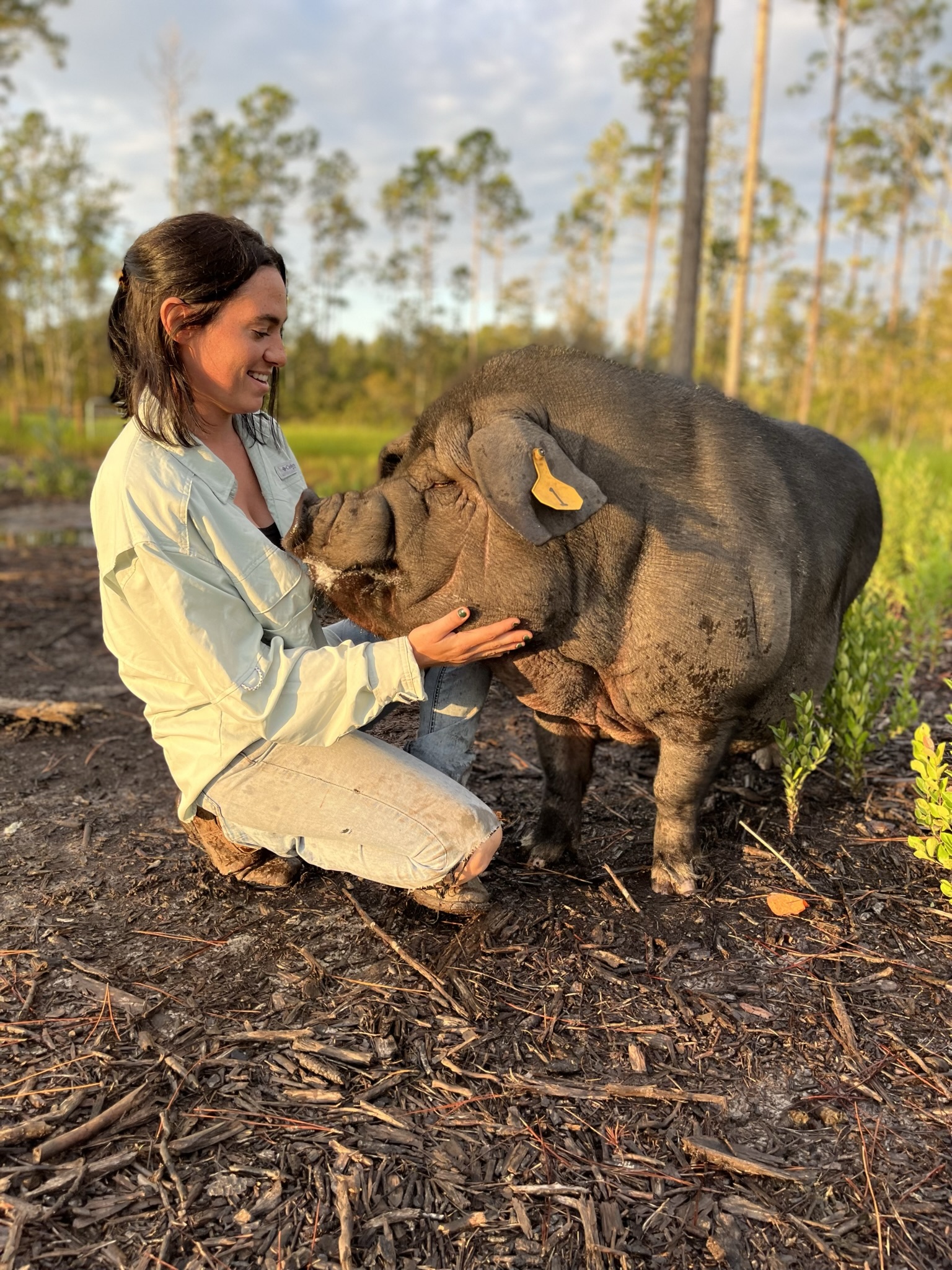 Home Page - Oke Farm